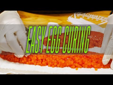 How To Cure Salmon Eggs, The Fastest & EASIEST Way To Cure Eggs.
