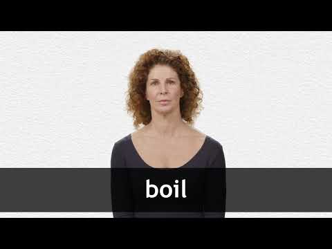 BOIL definition and meaning | Collins English Dictionary