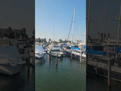 Love to OWN ONE 😂🤣 #boats #yacht #clearwater #florida