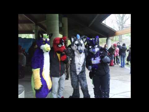 What is the "Furry" Fandom?