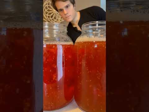 $12 Cider vs. $3 Juice (How to make Raspberry Hard Cider) #howto #recipe #test #diy