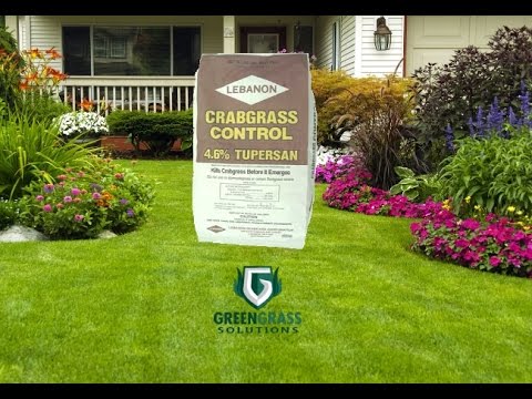Crabgrass Control with Tupersan | Jerry's Blog