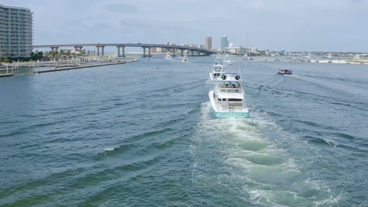 The Wharf Marina: Hook, Line, Good Times
