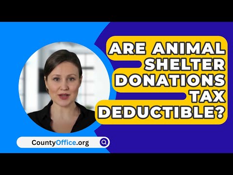 Are Animal Shelter Donations Tax Deductible? - CountyOffice.org