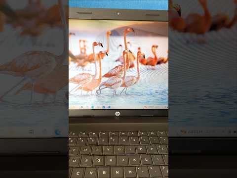 How to Take a Screenshot on an HP Laptop and PC