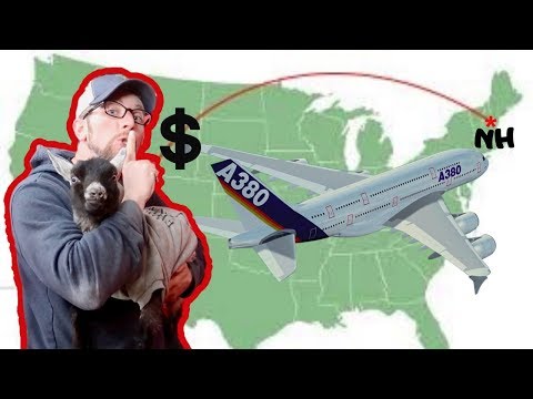 It COST how MUCH? (Shipping a Goat 3000 miles)