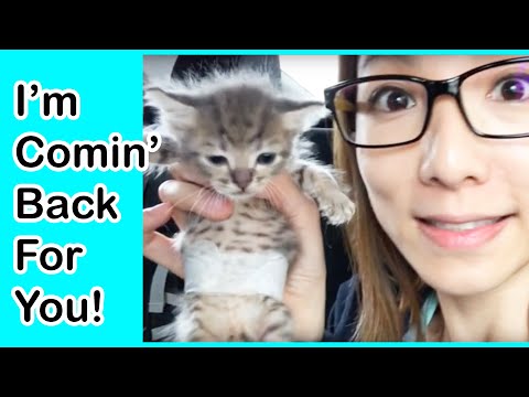 Goodbye Burrito meow…