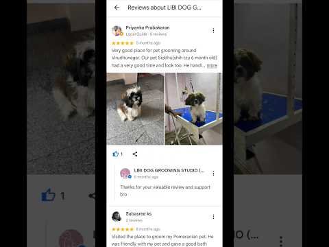 A small thanks to the PETPARENTS review in Maps to motivate me (LIBI DOG GROOMING STUDIO) #sivakasi