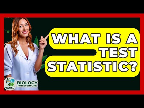 What Is A Test Statistic? - Biology For Everyone
