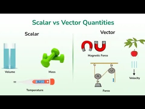 Scalars and Vectors Quantities and With Real Examples