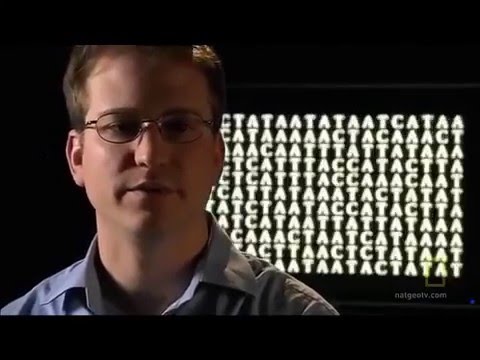 21st century cryptology