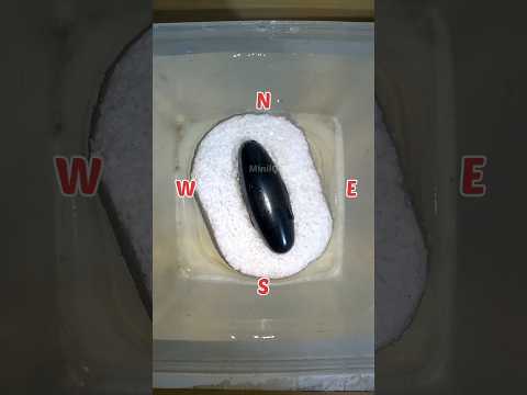 how to make home made magnet compass ðŸ§