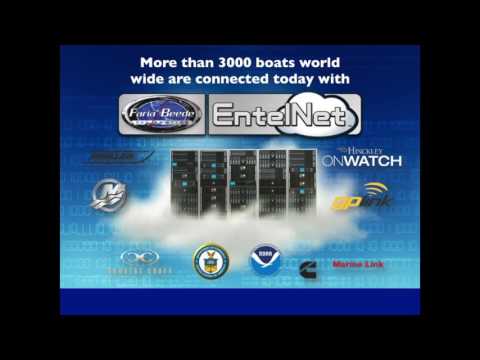 EntelNet - Overview
