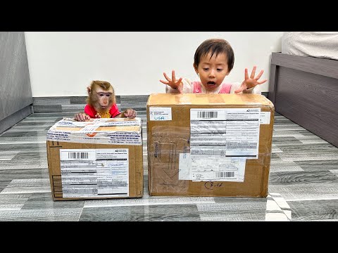 Monkey Kaka and DIem are curious about unique gifts from America