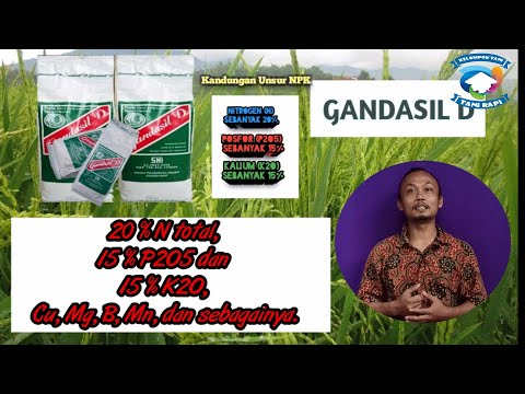 Pupuk Gandasil D, Melebatkan dan menyehatkan Daun