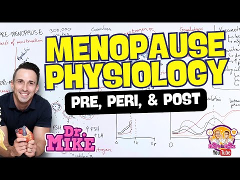 Menopause Physiology | Pre, Peri, and Post-Menopause