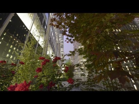 What Is Pixel Resolution? | Digital Cameras