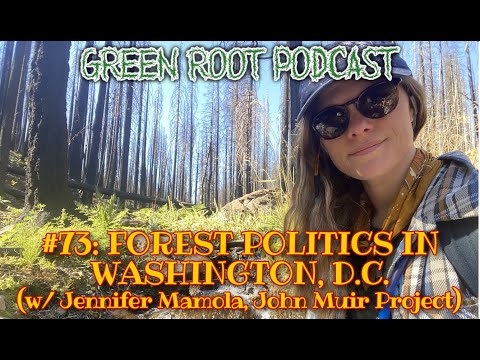 GREEN ROOT PODCAST #73: Forest Politics in Washington, D.C. (with ...