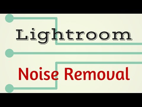 Remove Noise in Photos in Lightroom - identify and fix color and luminance noise
