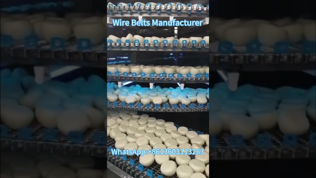 Spiral Cooling Tower for Steamed Bread #coolingequipment #bakerymachine #dryingsystems  #foodmachine