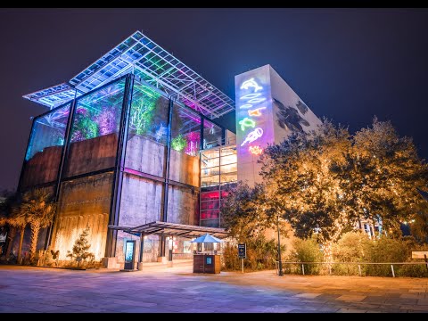 Aquarium Aglow at the South Carolina Aquarium