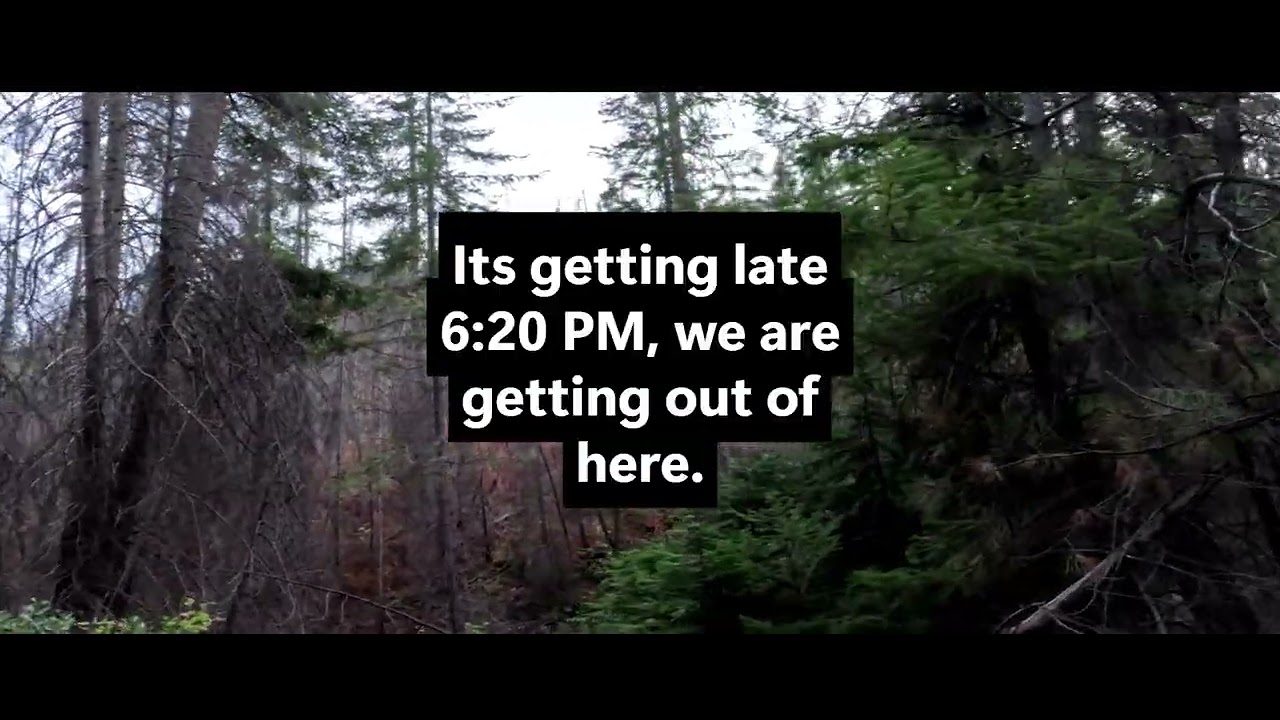 Elk hunting with Sasquatch