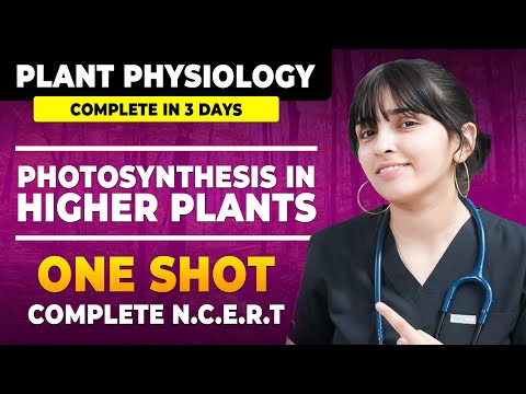 Photosynthesis in higher Plants in One Shot Class 11 NCERT | NEET 2024