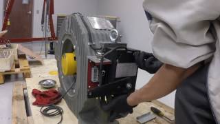 Torin Drive North America