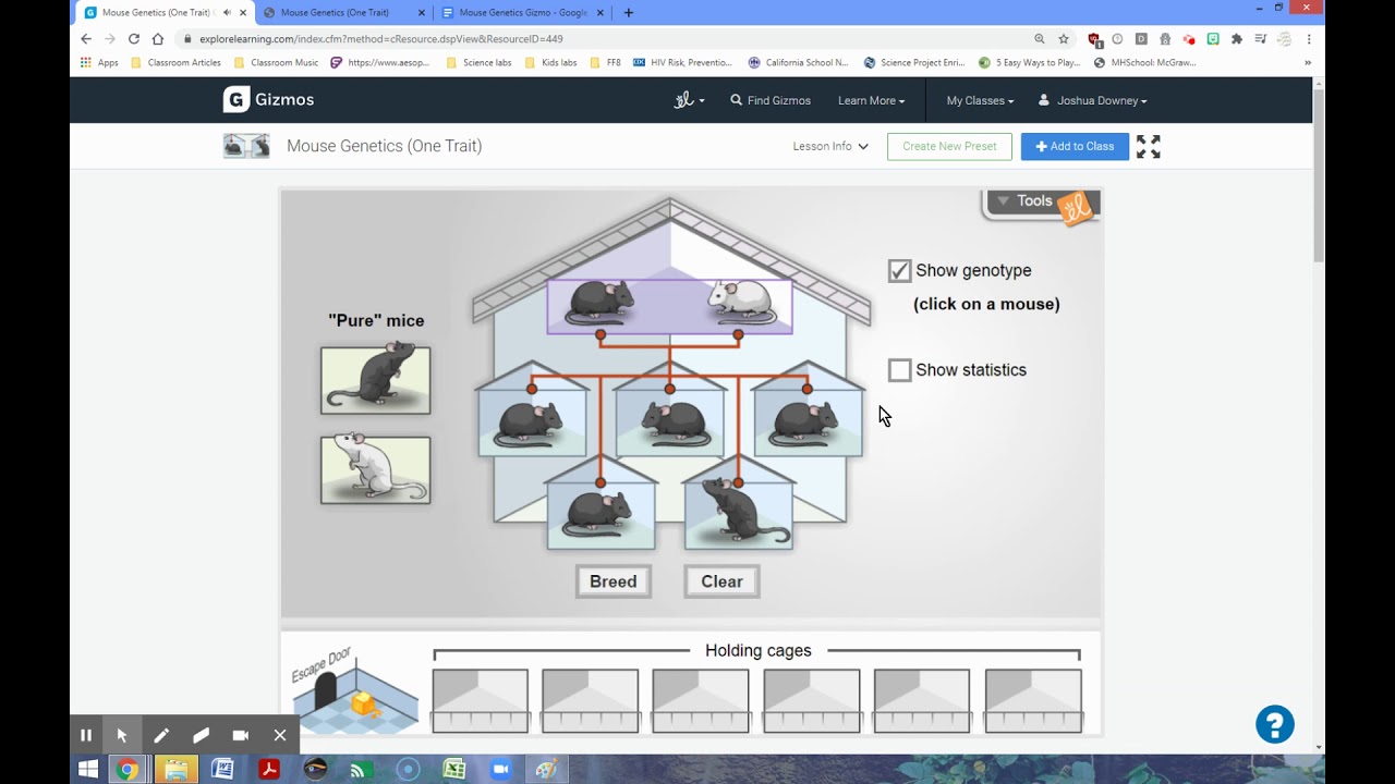 Mouse genetics walkthrough