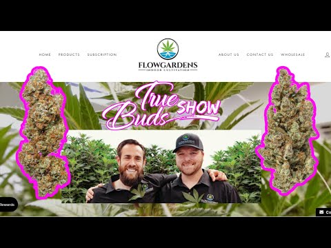 Flow Gardens Emerald Cup Winner 2022 Alternative Cannabinoid Hemp Flower @TrueBudsShow