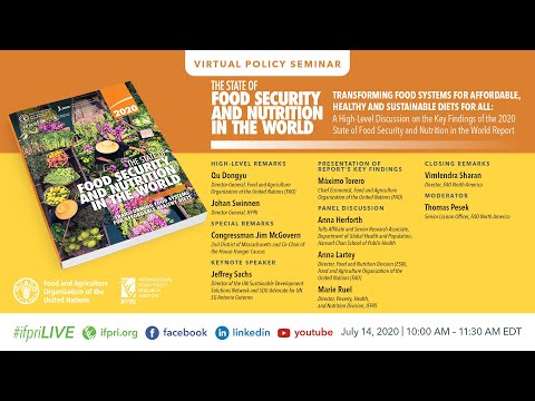 A High-Level Discussion on the Key Findings of the 2020 State of Food Security and Nutrition in the