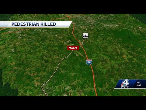 SUV veers off road on I-26, killing pedestrian on interstate shoulder, troopers say
