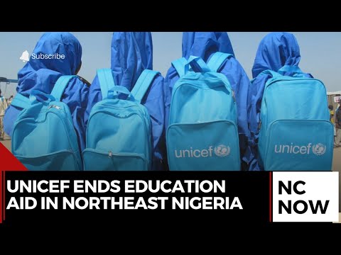 UNICEF Halts Education Support in Northeast Nigeria
