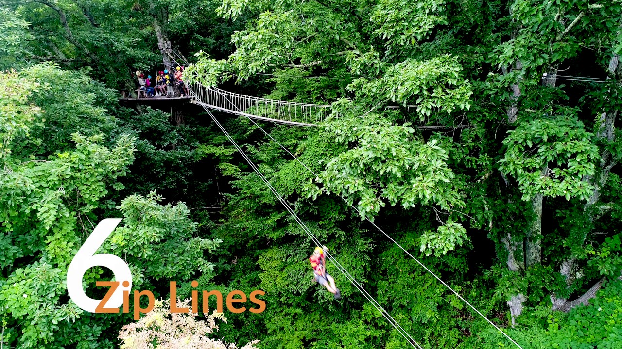 Navitat Canopy Adventures Asheville, NC Treetop Tour
