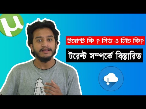 What Is Torrent , Seed, Leech, Know Everything About Torrent
