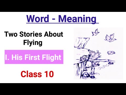 Word Meaning | Class 10 - Two Stories About Flying - His First Flight | Word Meaning Practice |Ncert