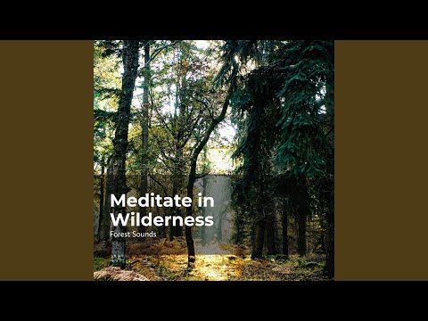 Pensive Nature Tune