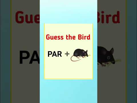 What is the Word? 🤔