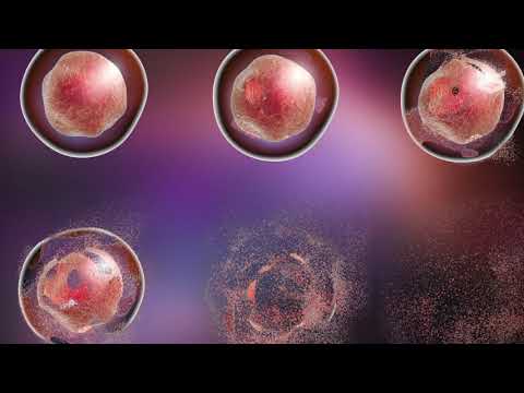 Protein expression patterns provides clues to tumor formation in familial adenomatous polyposis
