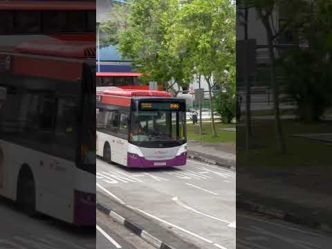 Scania K230UB SBS8535Y SBS Transit Bus service 196 to Bedok Interchange