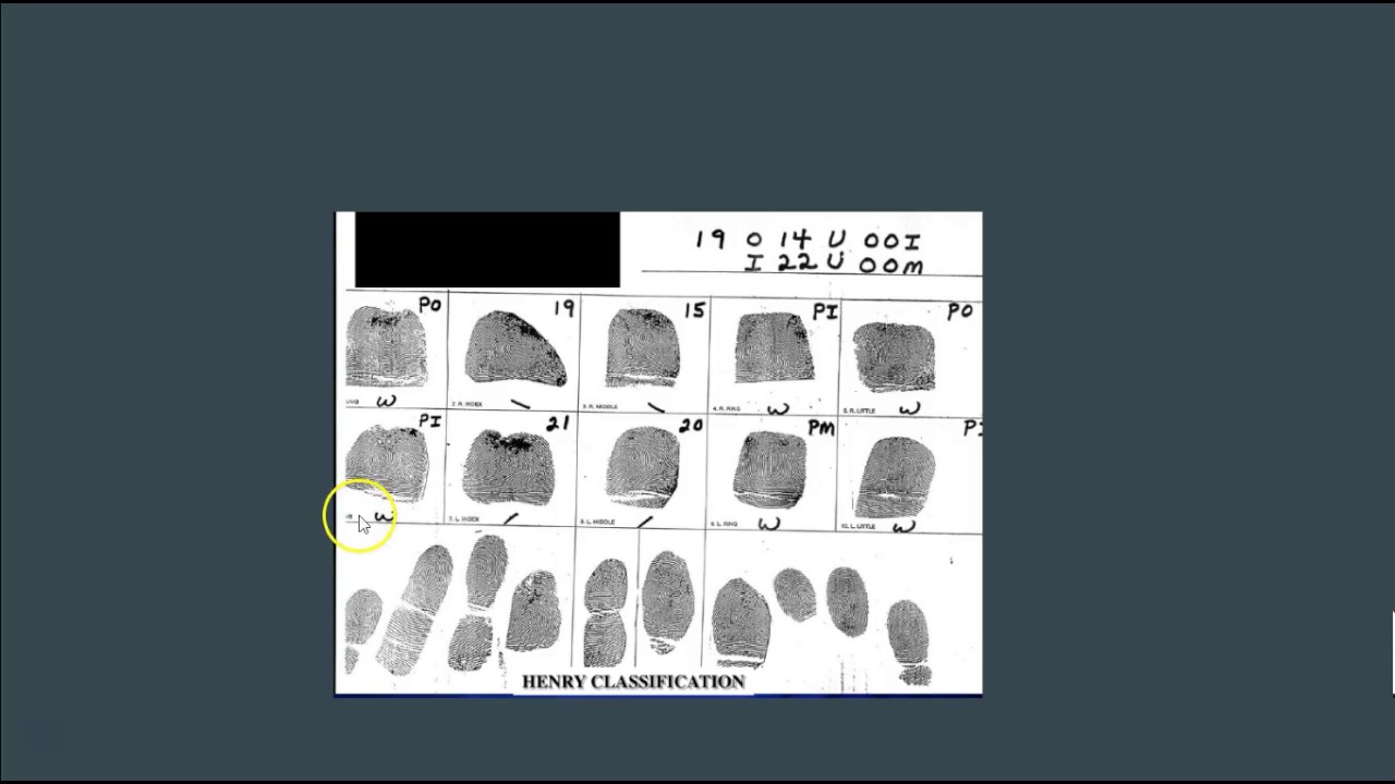 Henry Classification Major Key and Final