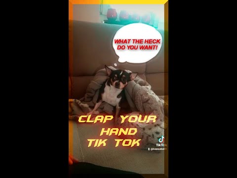 Tik Tok Clap Your Hand - Andy Arthur Smith