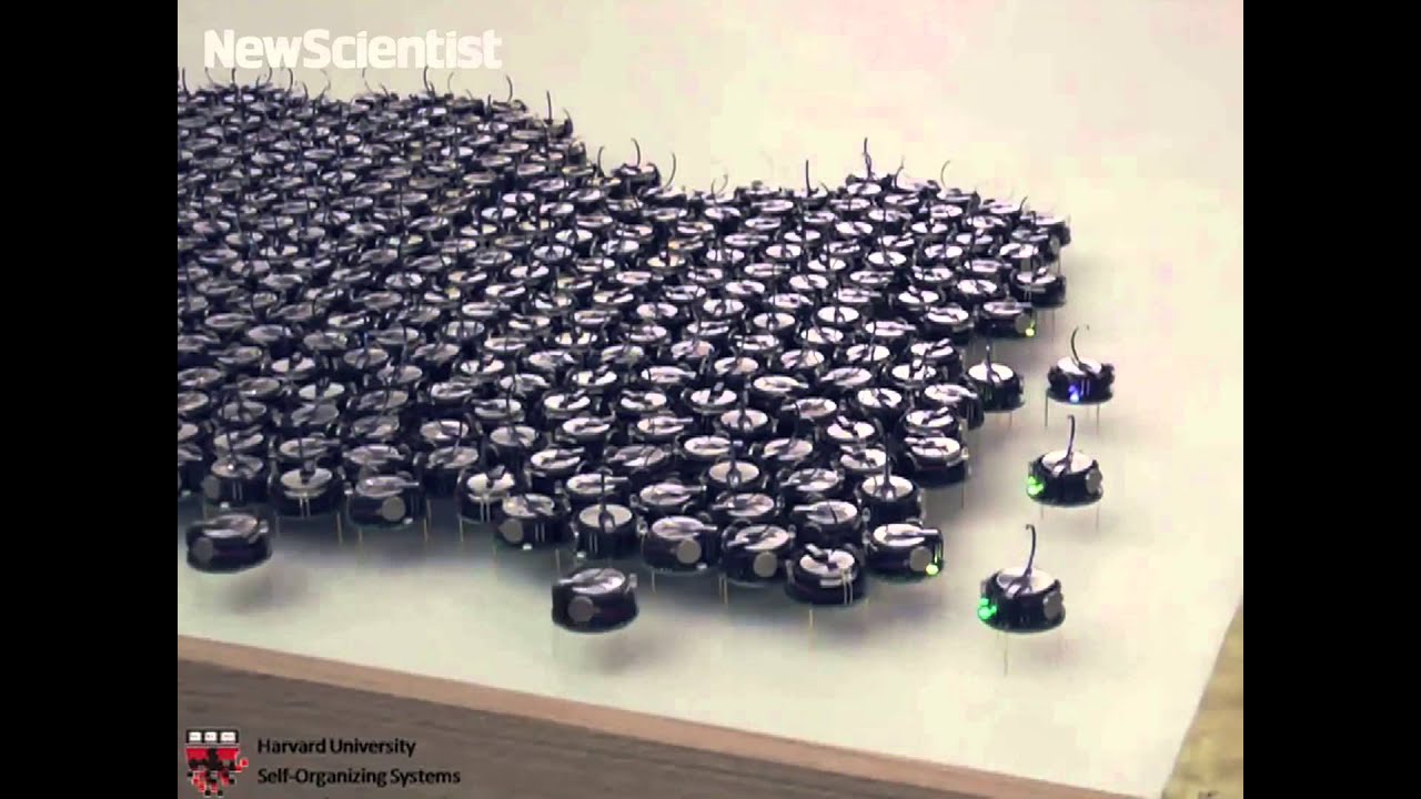 Tiny Robots, Big Ideas: The Rise of the Robotic Swarm - Tinkimo