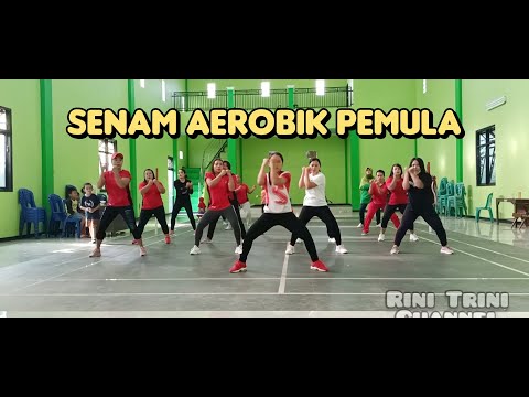 SENAM AEROBIK PEMULA MUDAH | 30 MENIT BAKAR LEMAK