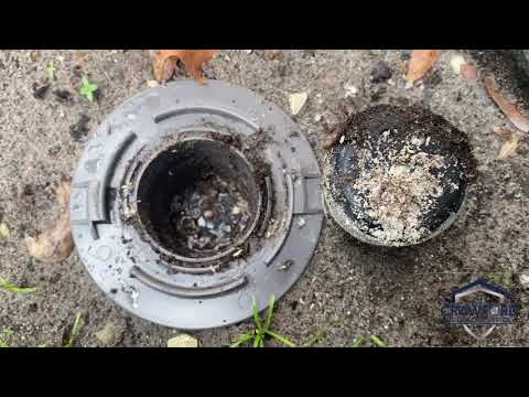 Inspecting Termite Bait Stations and When to Replace Bait on an Active Infestation!