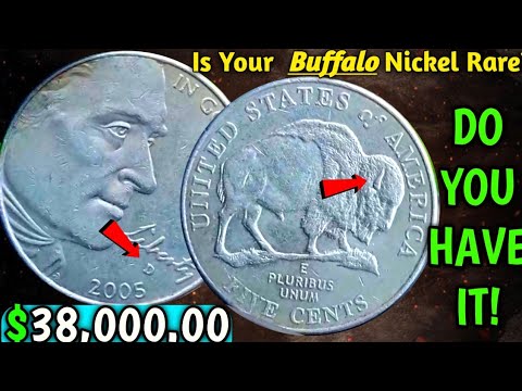 Is the 2005-D Buffalo Nickel Worth a Fortune? You Won't Believe What It's Worth!