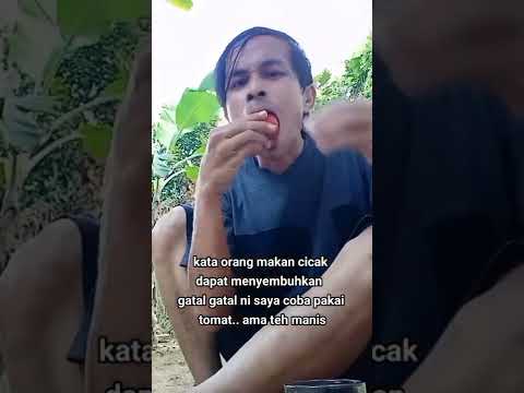 ternyata cicak bisa menghilangkan.gatal.gatal #shorts #mukbang #makancicak#viralvideo