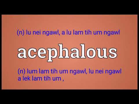 Acephalous Meaning In English Ngawn Dictionary acephalous = lu nei ngawl, lu lam tih um ngawl,