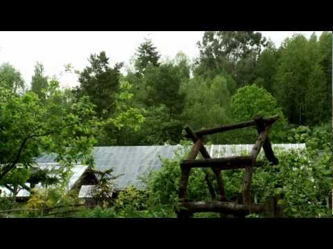 Centre for Alternative Technology, training the future green workforce - Ashden Award winner