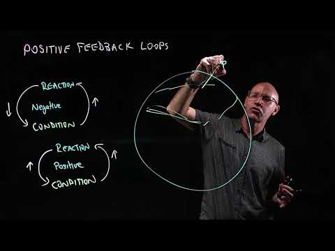 Positive feedback loops and global warming